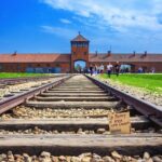 Auschwitz Birkenau Guided tour with transport - Authentic Reviews: What Travelers Say
