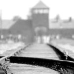 Auschwitz-Birkenau: Memorial Entry Ticket and Guided Tour - Practical Details and What to Expect
