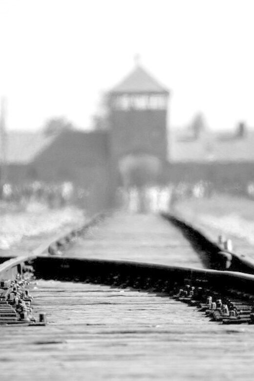Auschwitz-Birkenau: Memorial Entry Ticket and Guided Tour - Practical Details and What to Expect
