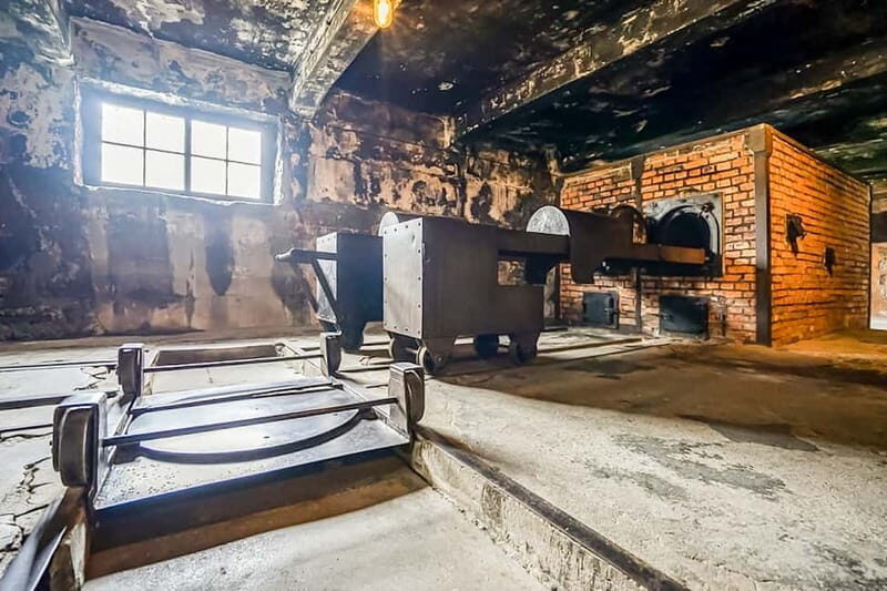 Auschwitz-Birkenau Skip-the-Line Guided Tour - Who Should Consider This Tour?
