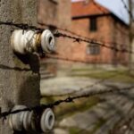 Auschwitz-Birkenau Skip-the-Line Ticket and Guided Tour - An In-Depth Look at the Tour Itself