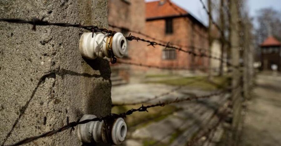 Auschwitz-Birkenau Skip-the-Line Ticket and Guided Tour - An In-Depth Look at the Tour Itself