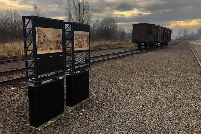 Auschwitz - Birkenau Tour with Private Transport from Krakow - Key Points
