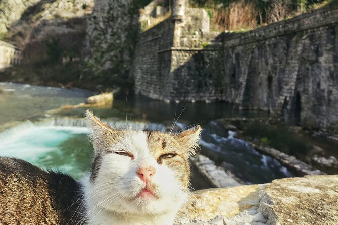 Authentic Kotor Old Town Walking Tour - An In-Depth Look at the Authentic Kotor Old Town Walking Tour