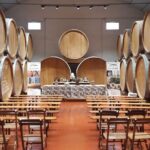 Authentic Marsala Wine Tasting Experience in a Historic Winery - What the Experience Offers and Why It Works