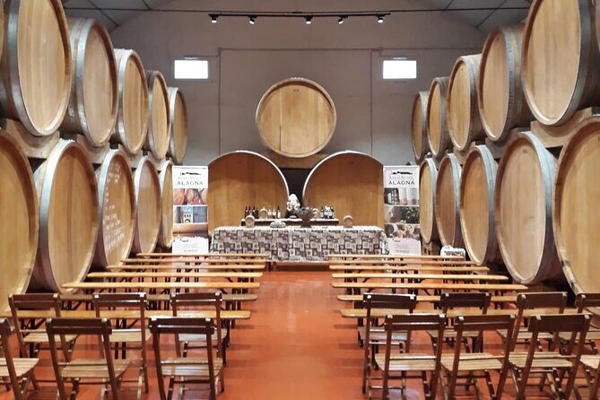 Authentic Marsala Wine Tasting Experience in a Historic Winery - What the Experience Offers and Why It Works