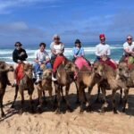 Authentic Private Tangier Tour from Estepona Camel Ride & Lunch - Detailed Breakdown of the Itinerary