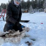 Authentic Reindeer Experience and Ice Fish with Lunch in the Wild - How Does the Value Match Up?