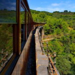 Authentic Vall de Sóller: Day Trip - Who Will Love This Tour?