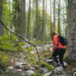 Auttiköngäs Hiking Experience - The Experience Provider