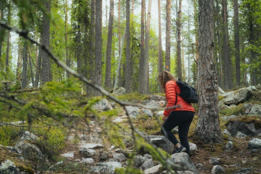 Auttiköngäs Hiking Experience - The Experience Provider
