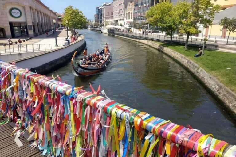 AVEIRO E COSTA NOVA: Private Full-Day Tour w/Boat from Porto - Who Will Enjoy This Tour Most?