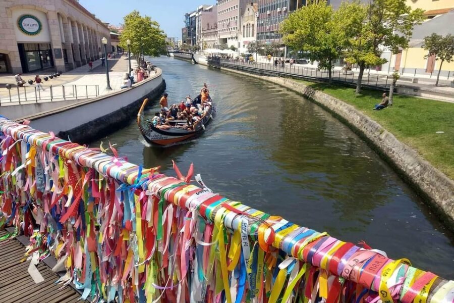 AVEIRO E COSTA NOVA: Private Full-Day Tour w/Boat from Porto - Who Will Enjoy This Tour Most?