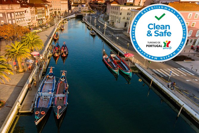 Aveiro Half Day Private Tour Porto w/ Moliceiro River Cruise - Key Points