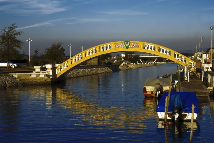 Aveiro: Half Day Tour with Boat Ride - Guides and Small Group Dynamics