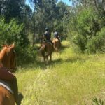 Aveiro: Horse Riding Experience with Instructor - Authentic Visitor Experiences