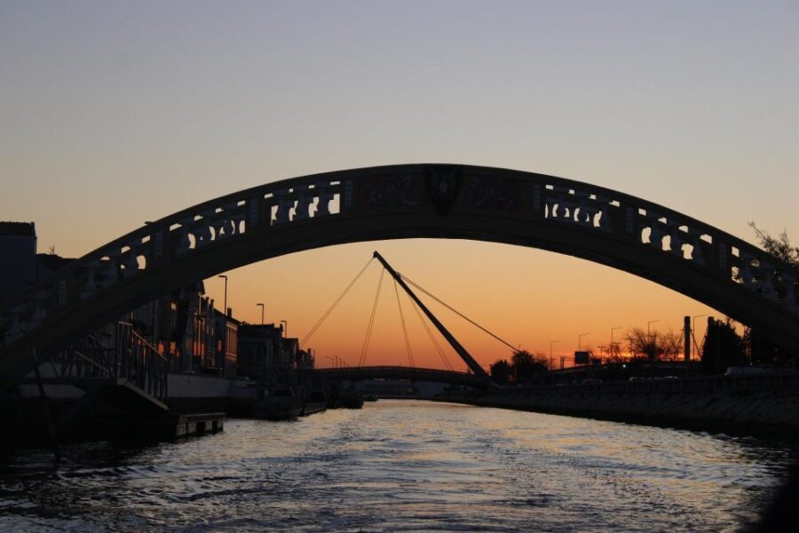 Aveiro no Coração - Passeio de barco típico em Aveiro - What to Expect: An Authentic Look at Aveiro’s Canals