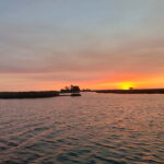 Aveiro: Ria Highlights Boat Tour - Who Should Consider This Tour?
