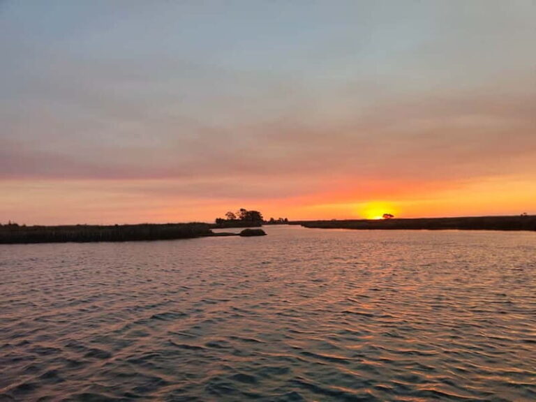 Aveiro: Ria Highlights Boat Tour - Who Should Consider This Tour?