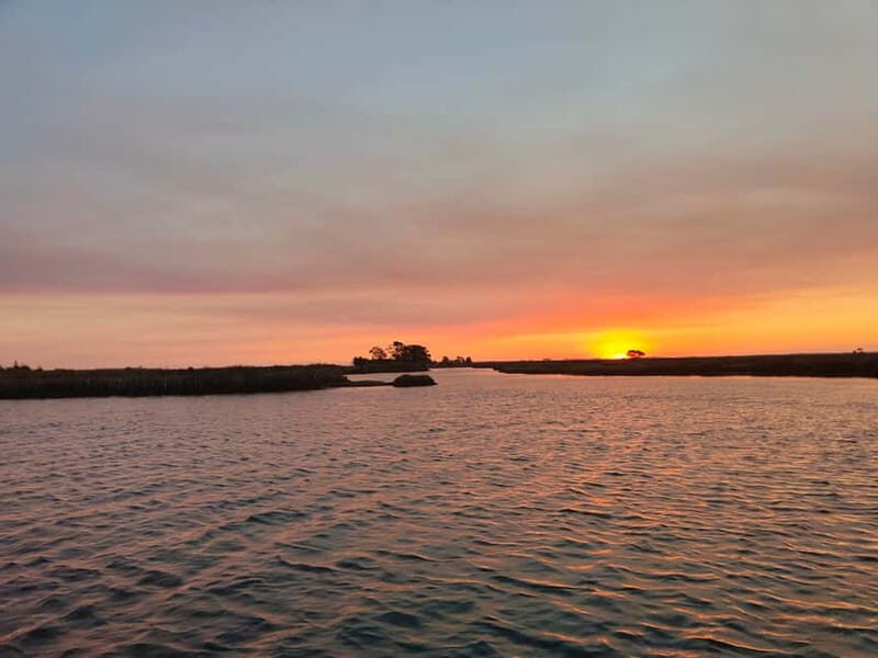 Aveiro: Ria Highlights Boat Tour - Who Should Consider This Tour?