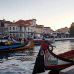 Aveiro Tour(4Hours): From Oporto;City Tour- Half Day Trip - A Closer Look at the Itinerary