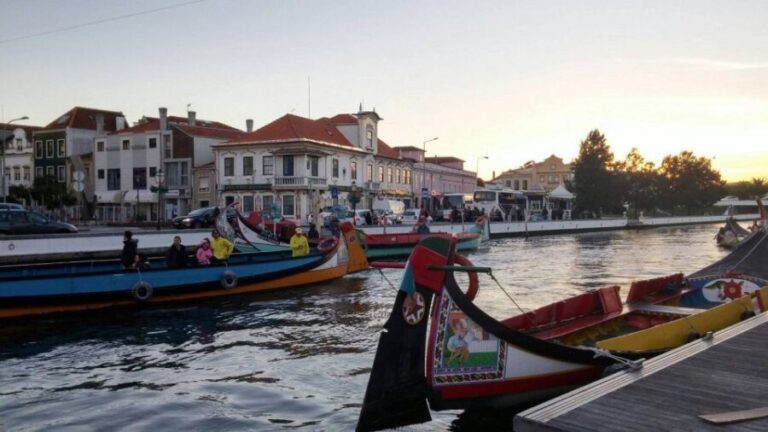 Aveiro Tour(4Hours): From Oporto;City Tour- Half Day Trip - A Closer Look at the Itinerary