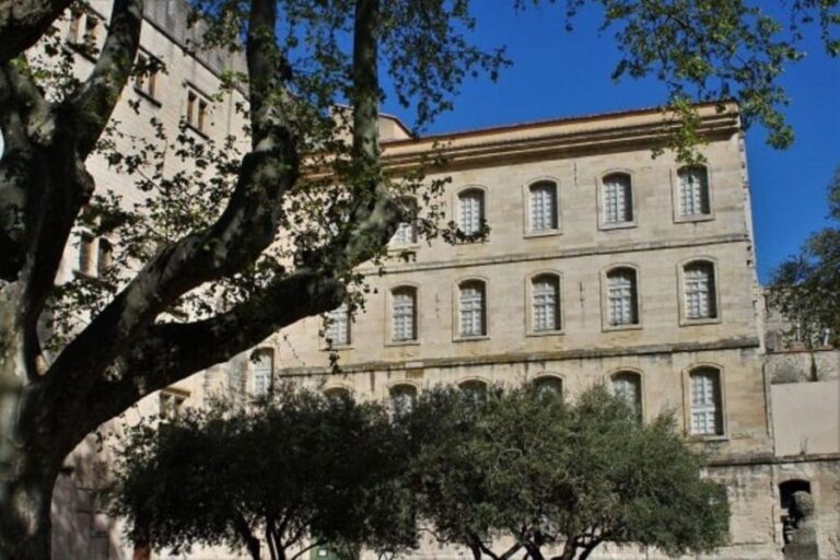 Avignon: Emblematic Squares Tour - Who Should Consider This Tour?