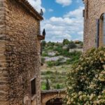 Avignon : Full-Day Châteauneuf du Pape wines & Luberon Tour - What Travelers Are Saying