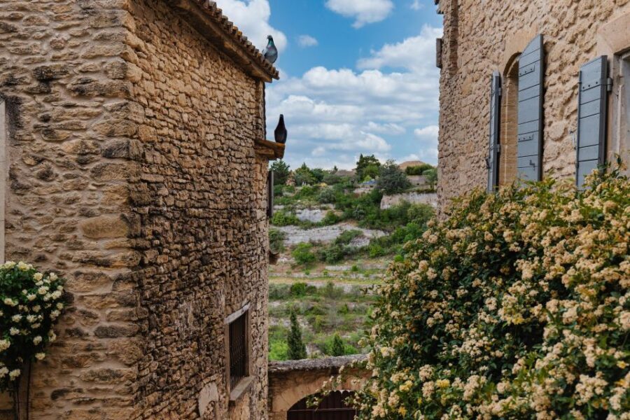 Avignon : Full-Day Châteauneuf du Pape wines & Luberon Tour - What Travelers Are Saying