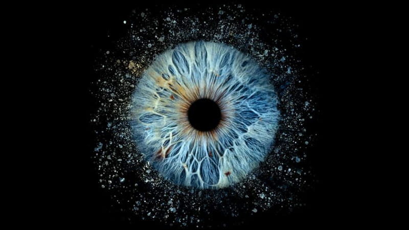 Avignon: Reveal the beauty of your iris with Iris Galerie - The Value of a Personal, Artistic Keepsake