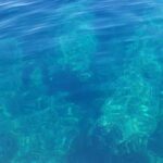 Avola: Group Boat Tour Vendicari Capopassero and Aperitif - What the Tour Offers at a Glance