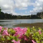 Azores: 1 Day Private Tour Furnas Volcanic Activity & Hot Springs - Who Will Love This Tour?