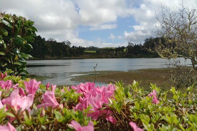 Azores: 1 Day Private Tour Furnas Volcanic Activity & Hot Springs - Who Will Love This Tour?