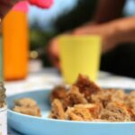 Azores Beekeeping Tour and Honey Taste - A Closer Look at the Tour Itinerary
