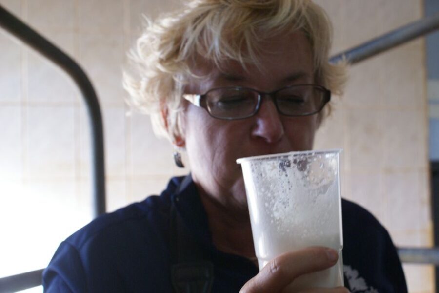 Azores: Day at the Farm with Outdoor Traditional Lunch - Why Travelers Love It