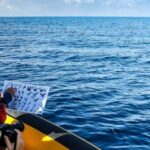 Azores Marine Birdwatching Expedition - The Experience: What You Can Expect on the Azores Marine Birdwatching Expedition