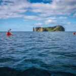 Azores: Vila Franca do Campo Islet Kayaking Experience - What Makes This Tour Special?