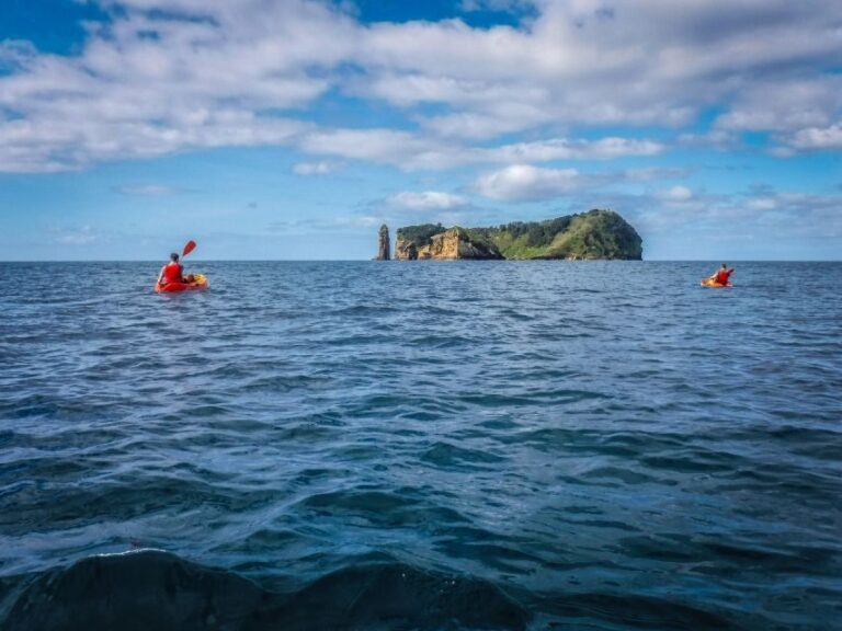 Azores: Vila Franca do Campo Islet Kayaking Experience - What Makes This Tour Special?