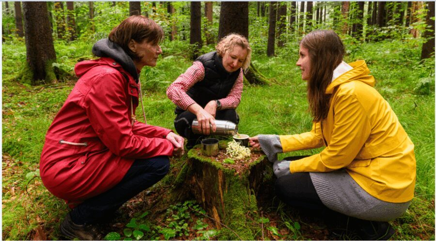 Bad Wörishofen: Shinrin-Yoku  Forest Bathing - The Itinerary and What You’ll Experience