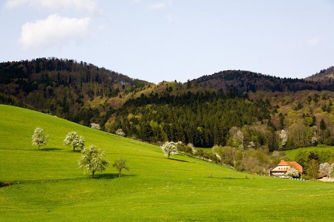 Baden-Baden, Black Forest and Strasbourg Day Trip from Frankfurt - Key Points