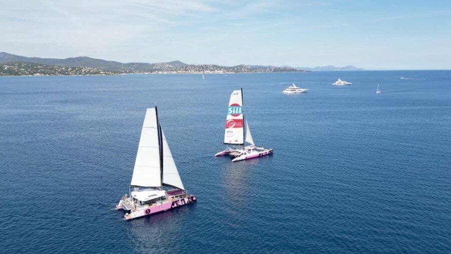Baden: Gulf of Morbihan Exploration by Catamaran - The Value of a Three-Hour Gulf Cruise