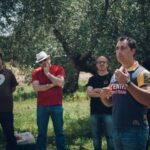 Baeza: Visit to an Ecological Olive Grove + Olive Oil Tasting - Why This Tour Works
