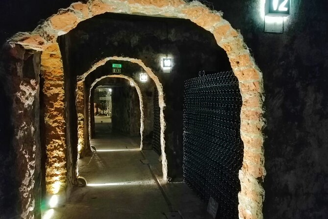 Bairrada Winery Route, half day from Coimbra - Key Points