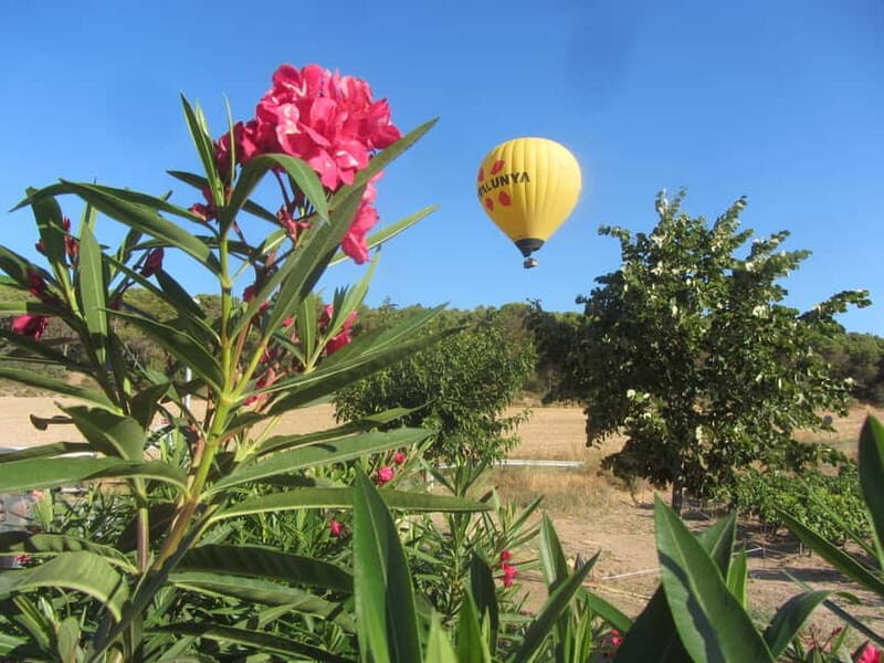 Balloon flight: panoramic view of Montserrat and Transport from Barcelona - Who Will Love This Experience?