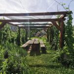 Bamberg: Beer & Brewery Tour - 2 Hour - English & German - Why This Tour Works