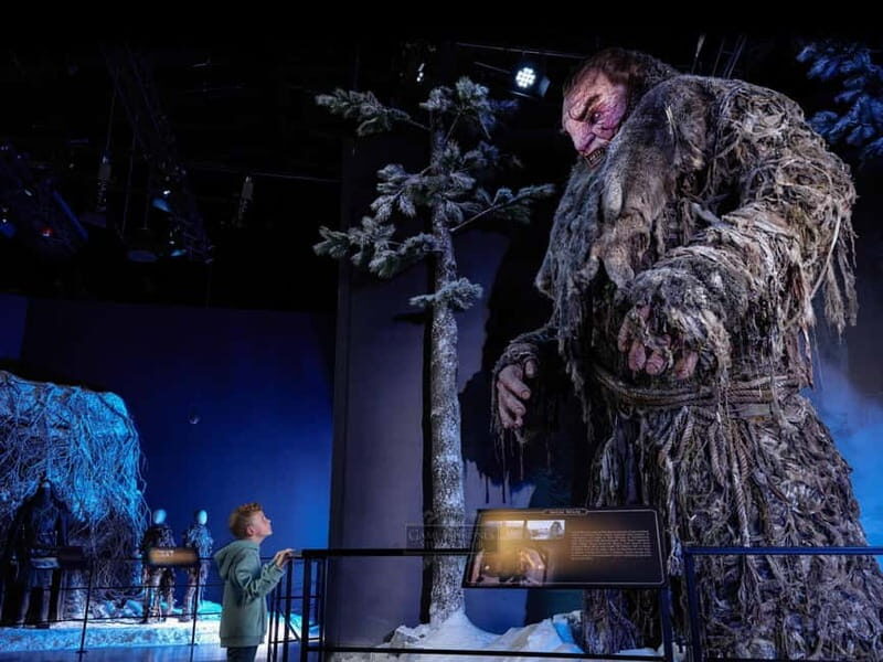Banbridge: Game of Thrones Studio Entry & Tea with Transfers - The Experience in Detail: What You Can Expect