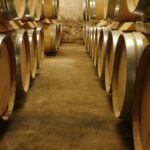 Bandol and Cassis: Full Day Wine Tour from Marseille - Whats Included & Whats Not