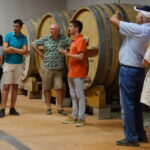 Bandol: family vineyard tour and tasting - What to Expect from the Tour