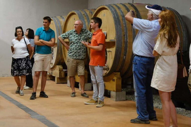 Bandol: family vineyard tour and tasting - What to Expect from the Tour