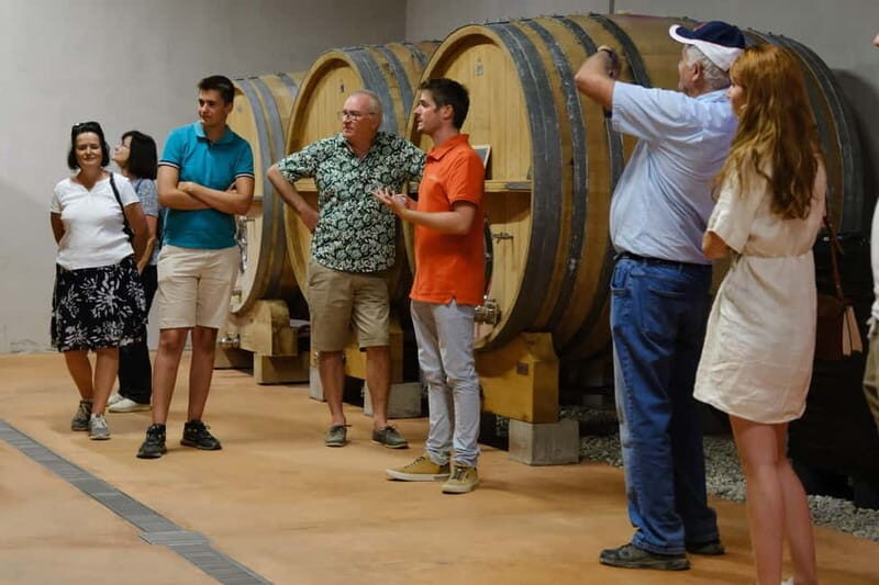 Bandol: family vineyard tour and tasting - What to Expect from the Tour